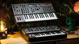 Moog Grandmother - What To Know & Where To Buy | Equipboard