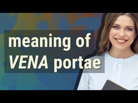 Vena portae | meaning of Vena portae