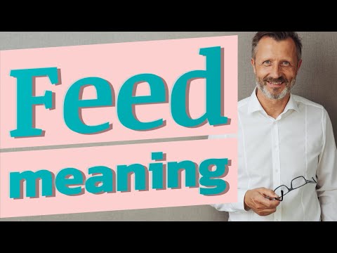 Feed | Meaning of feed