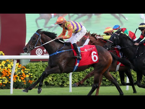 ジョッキークラブカップ（G2） 2023/11/19(日) | 日程・結果 | JRA-VAN World - 海外競馬情報サイト