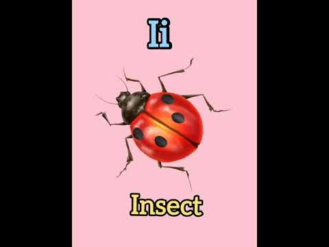 Words That Start With Letter Ii|| i Sound Words ||#Alphabetsound_i #youtubeshort #viralvideo #short