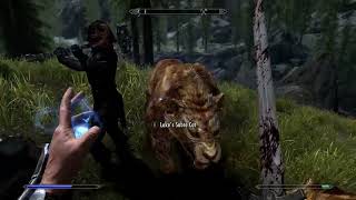 LYDIAAAA He Said Good DEATH Not Good HEAD You Moron at Skyrim Special ...
