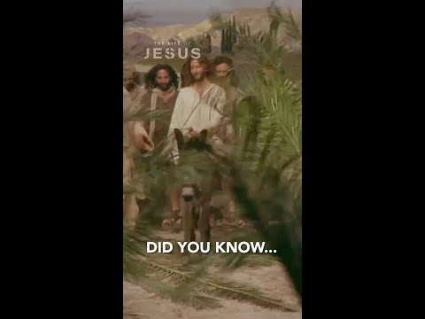 Palm Sunday is here!