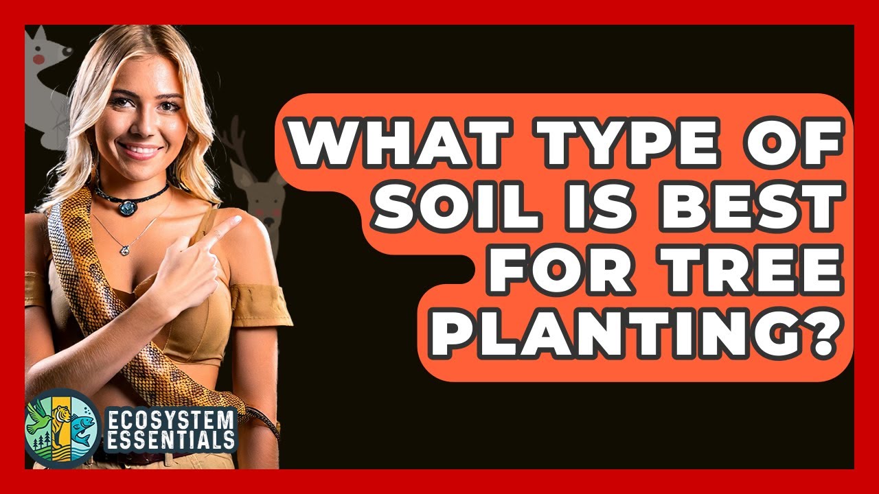 What Type Of Soil Is Best For Tree Planting? - Ecosystem Essentials