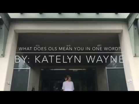What Does OLS Mean To You In One Word?