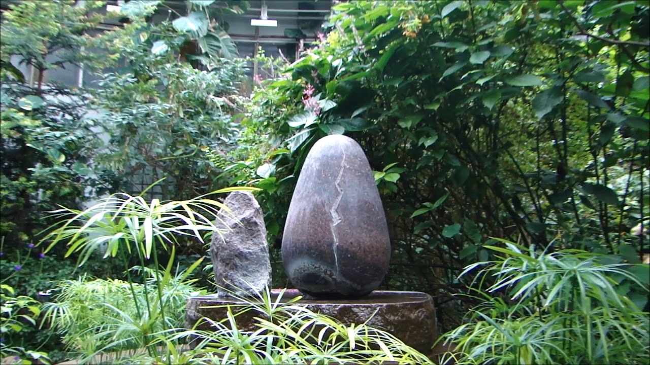 Detroit Zoo Butterfly Garden - Wildlife Interpretive Gallery