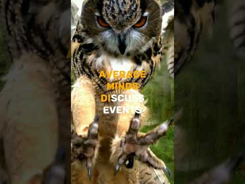 Strong minds... #inspirational #motivation #quote #owl #dailyquotes #strongmindset