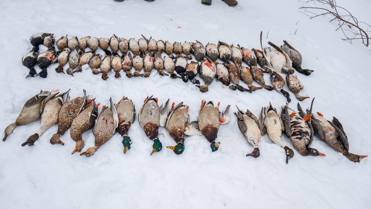 134 DUCKS IN TWO DAYS
