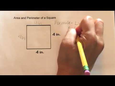 How to find the Area and Perimeter of a Square