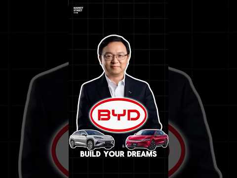 π¨π³ This is the story of BYD