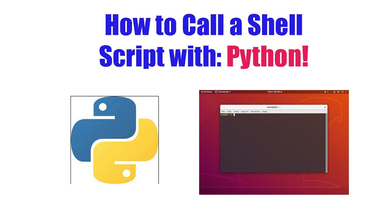 Run a Shell Script with Python
