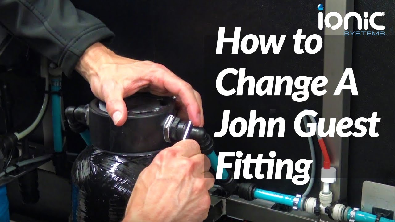 Gutters Deep and Thick with Leaves Twigg's and Gum Nuts - Blue Tongue ...