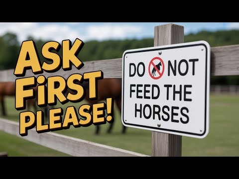 Why You Should NEVER Feed a Stranger’s Horse!