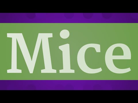 MICE pronunciation • How to pronounce MICE