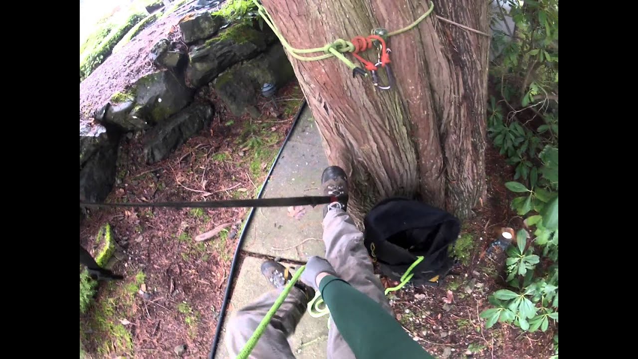 Srt Frog walker Ascent