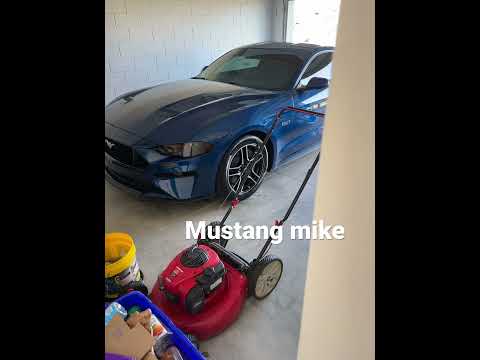 Mustang mike 5.0 just waxed her