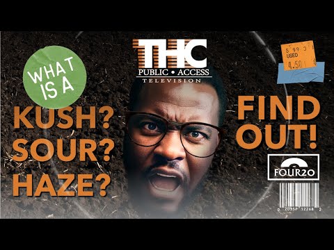 Kush, Haze, Skunk and More: The Ultimate Guide to Cannabis Varieties! | FOUR20