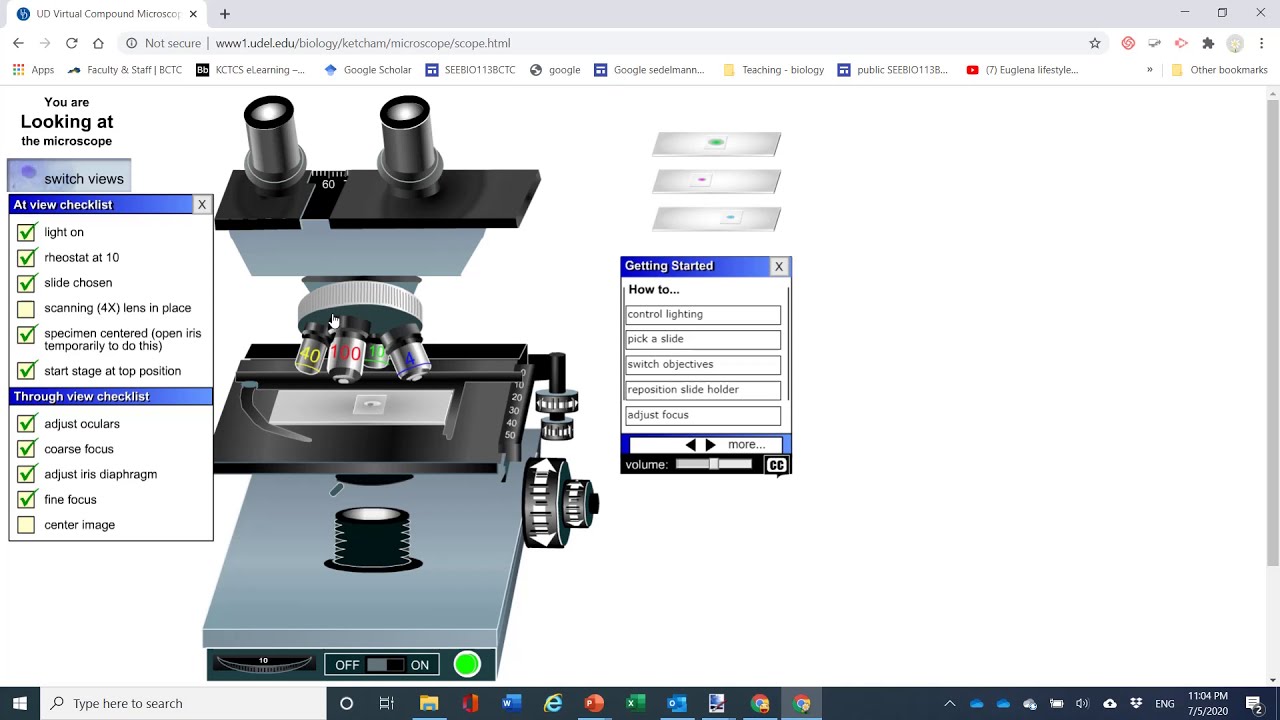 BIO 113 Microscopy Lab Detail: Letter e - virtual microscope