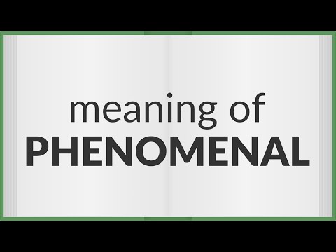 Phenomenal | meaning of Phenomenal
