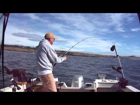 salmon fishing in the puget sound