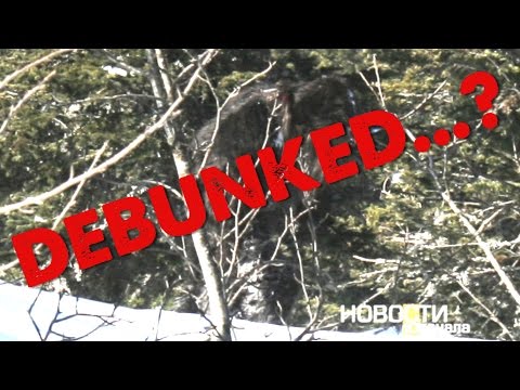 ThinkerThunker Breaks Down Skeptics Claims on Siberian Bigfoot Photos ...
