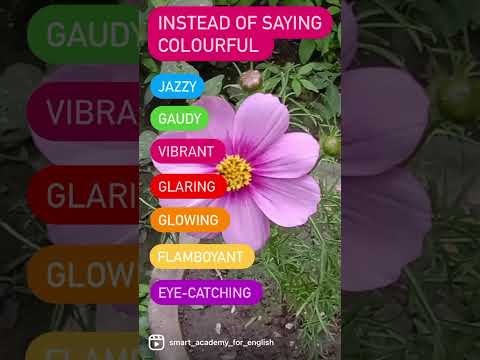 || instead of saying colourful || alternatives of colourful || colourful || synonyms ||