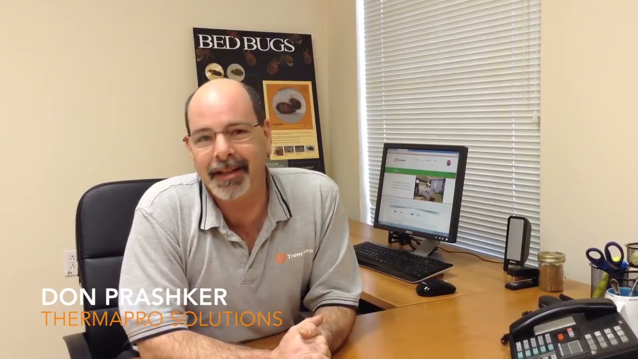 The Psychology of Having Bed Bugs