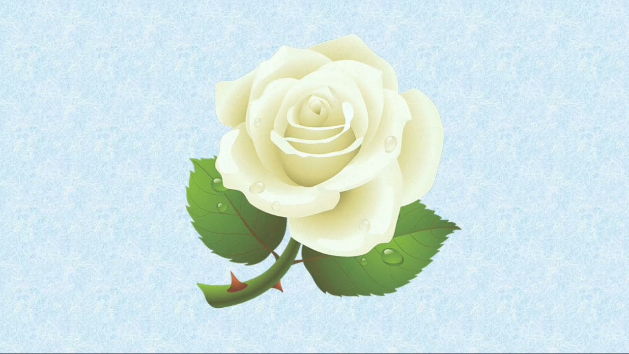 Koleksi 110 Gambar Bunga PNG High Resolution