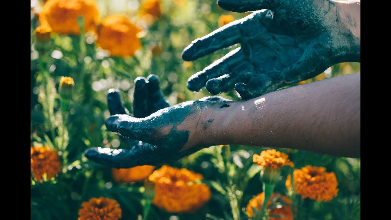 Intuitive Indigo Course- Indigofest.org