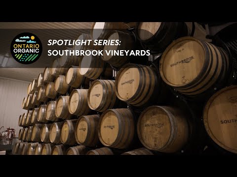 Ontario Organic: Spotlight on Southbrook Vineyards