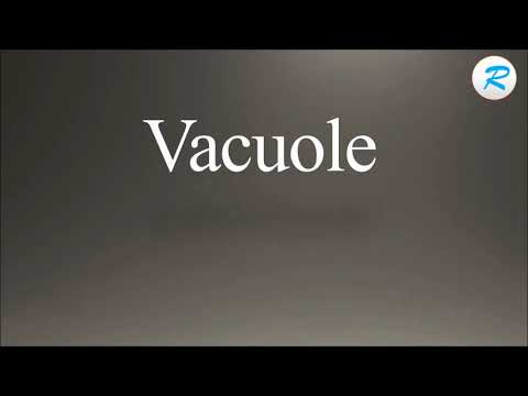 How to pronounce Vacuole