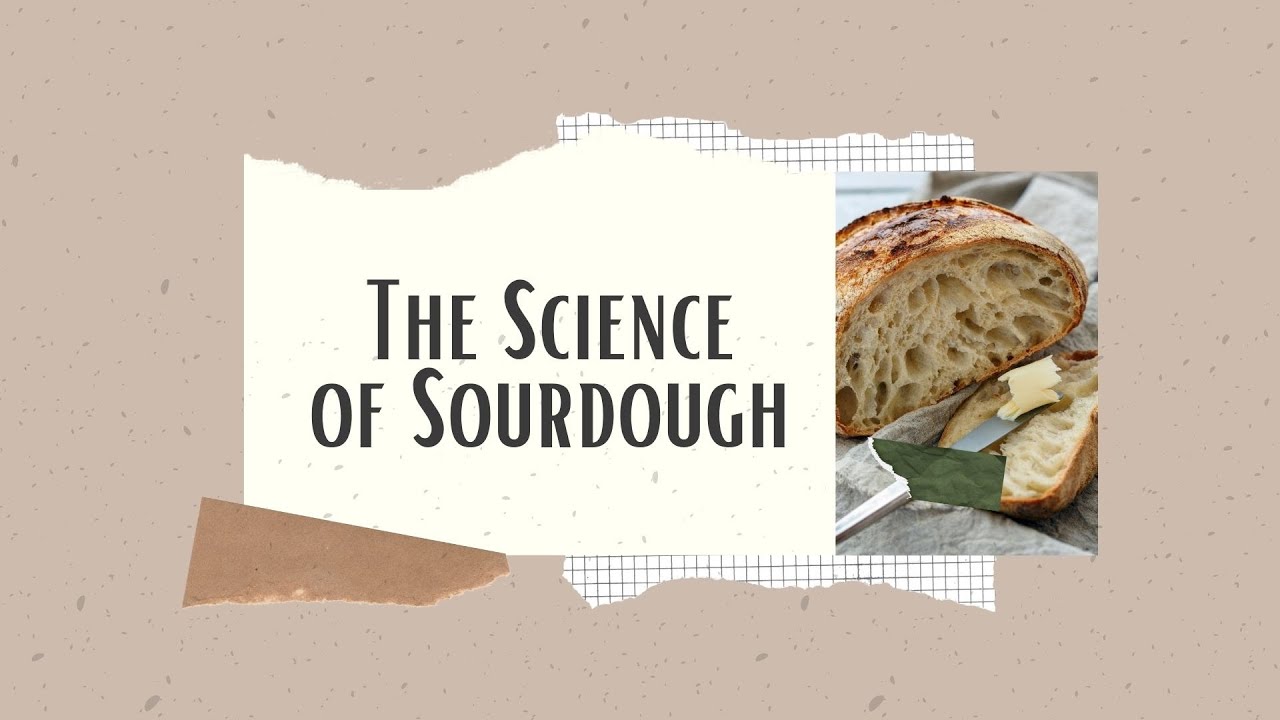The Science of Sourdough: Martha Levie, Abigail's Oven