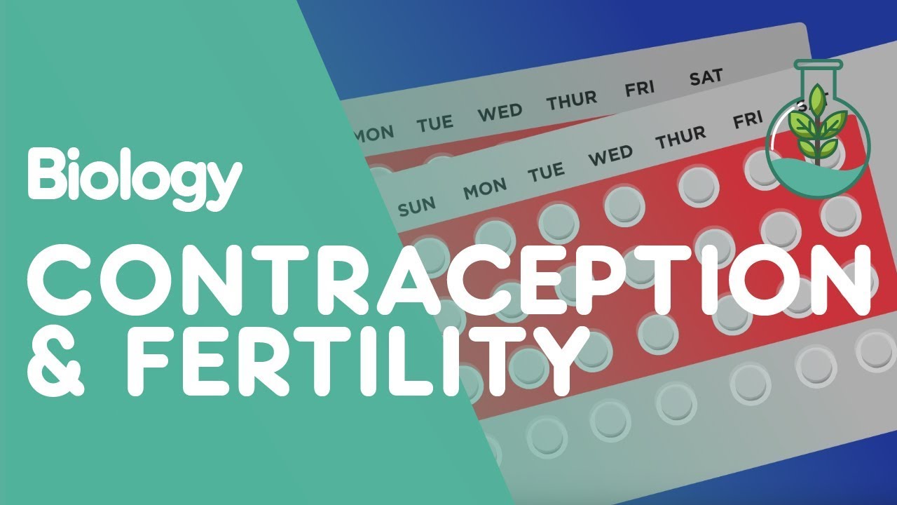 Hormones Involved In Birth Control & Fertility Treatment | Biology | FuseSchool