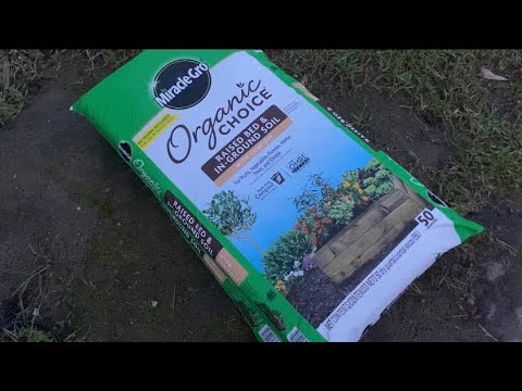 Costco MiracleGro Soil for the vegetable & herb garden 2025