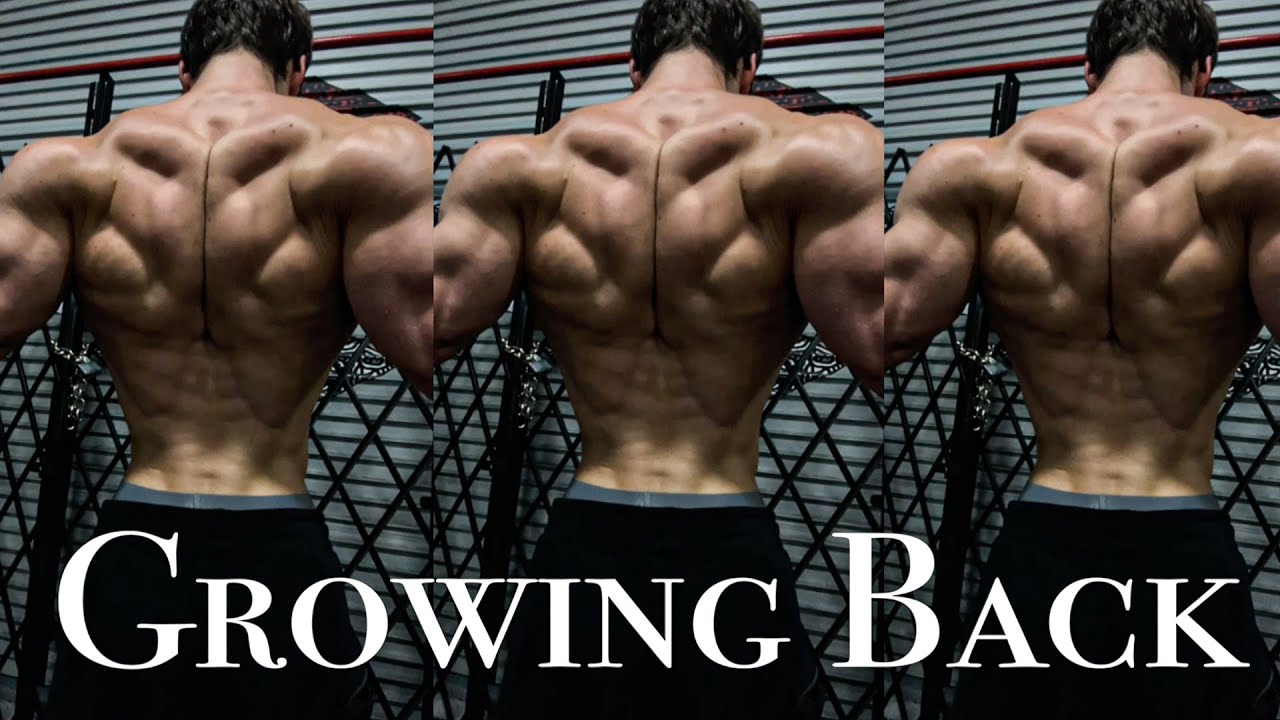 GROWING BACK