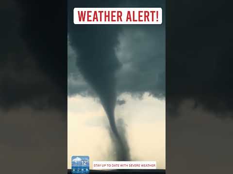 Weather forecast with alear