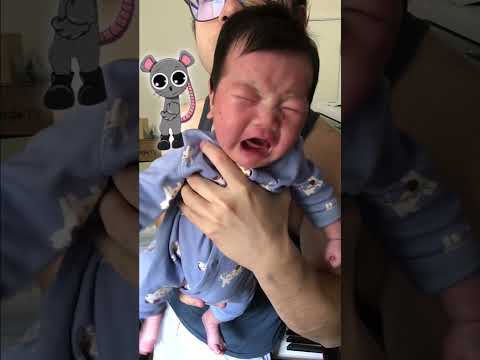 Sprunki Rat Dance but it's my Baby's Cry