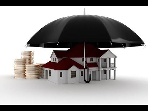 Software for insurance companies