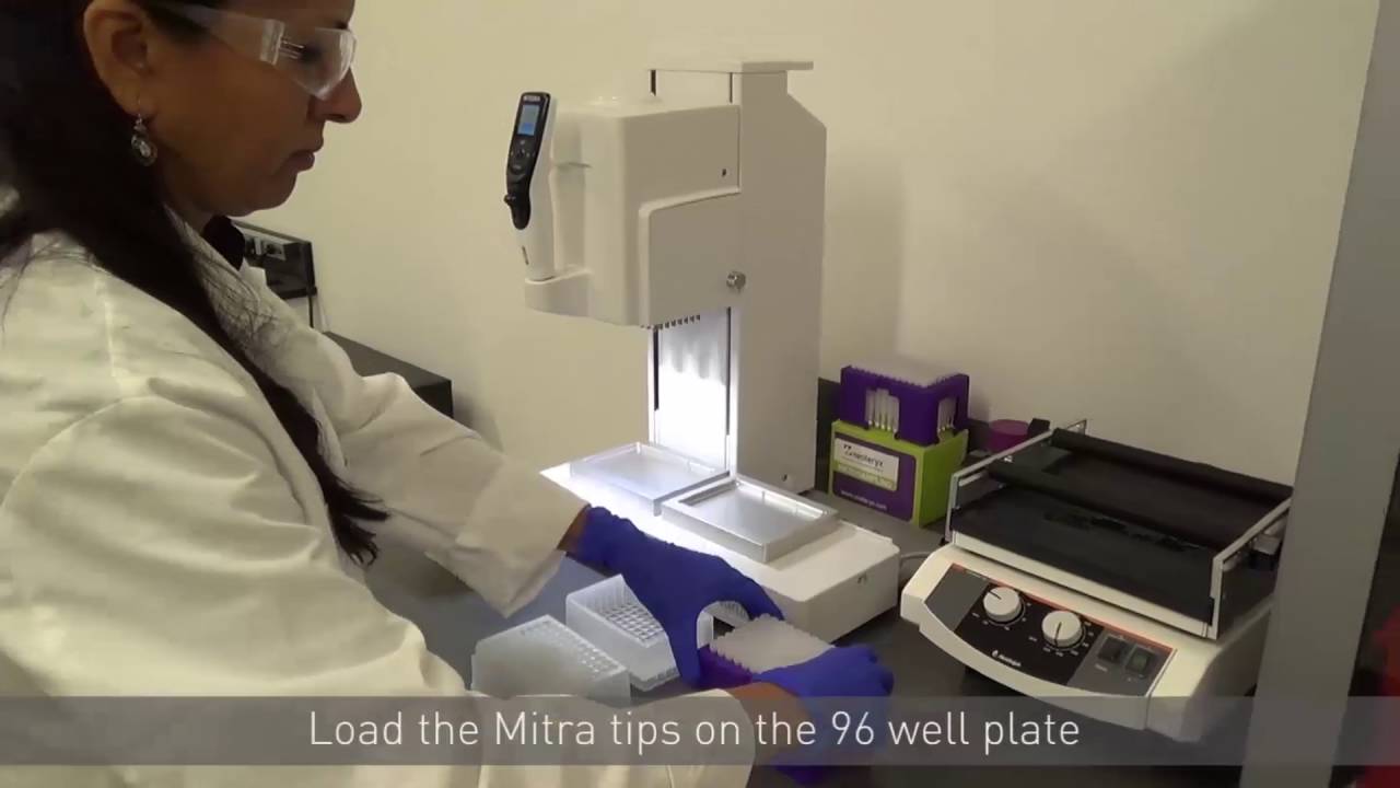 High Throughput Processing of Mitra Microsamples (General Protocol)