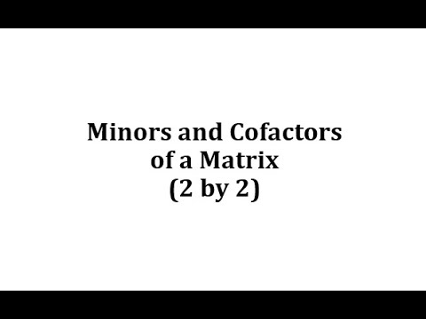 Find the Minors and Cofactors of a 2 by 2 Matrix