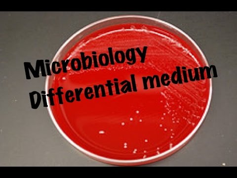 Medical Video Lecture, Microbiology: DIFFERENTIAL MEDIUM