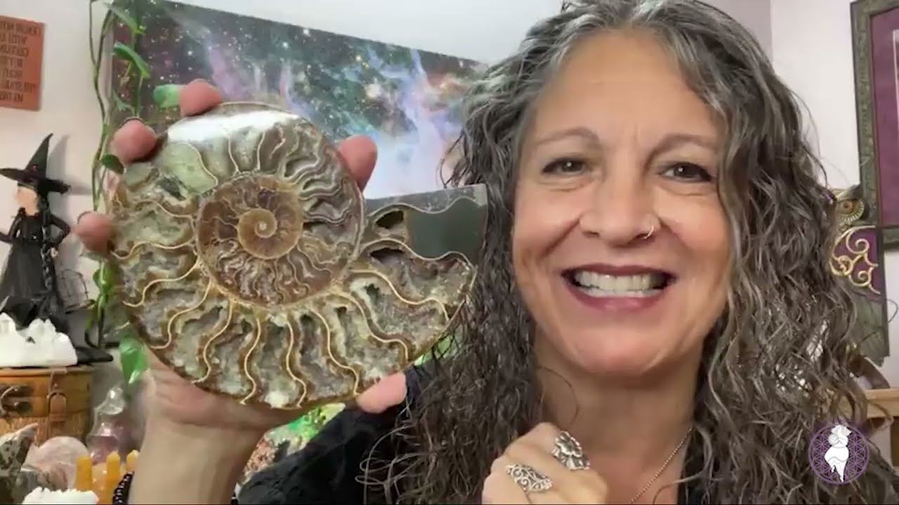 ✨Rocks with Rhi✨ ~ Ammonite