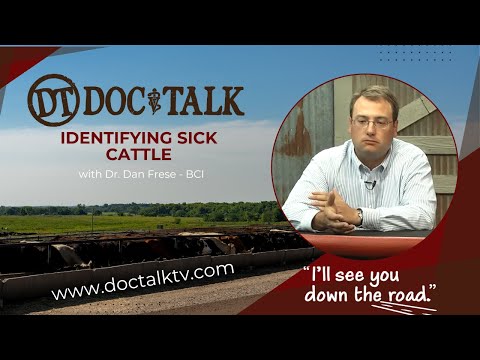 DocTalk Ep 24 - Identifying Sick Cattle