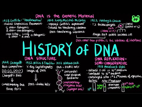History of DNA | Molecular Biology 00 | Biology & Biochem | PP Notes | Campbell 8E Ch. 16