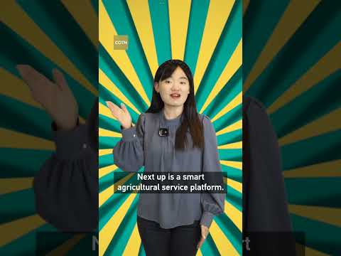 How can China better integrate AI technology into smart agriculture?