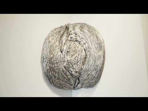 Shayne Dark - Silver Matter 1