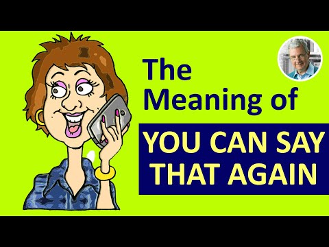 YOU CAN SAY THAT AGAIN - Meaning (3 Examples)