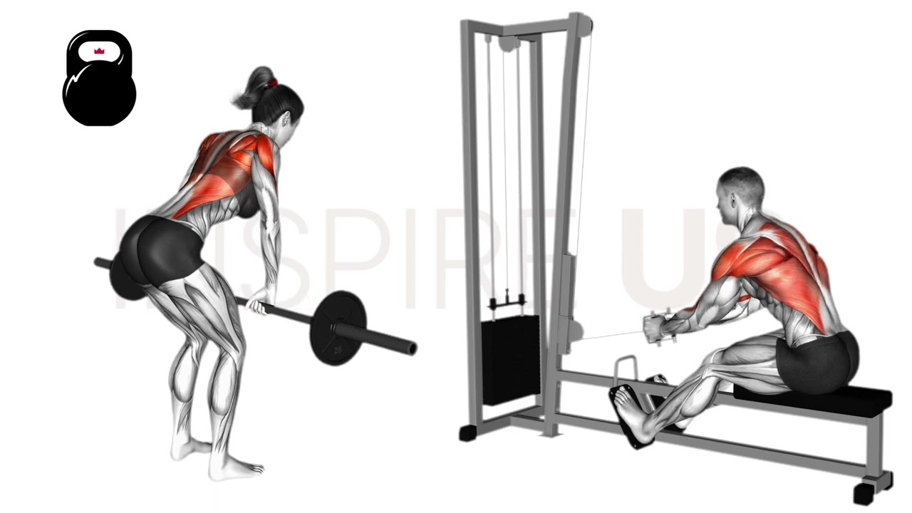 Seated Row vs Bent Over Row