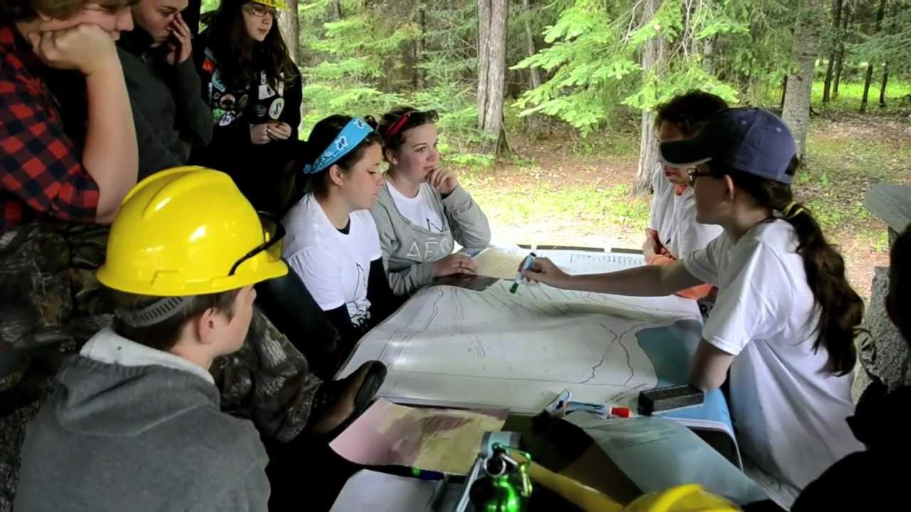 Discovering Your Forest