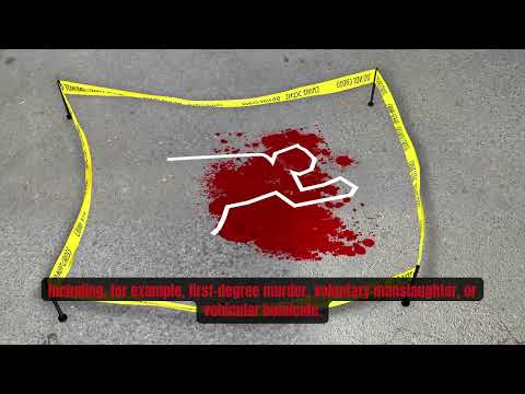 Types of Criminal Offenses